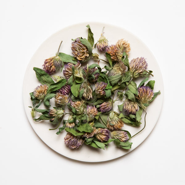レッドクローバー｜RED CLOVER – ROEROE Onlineshop